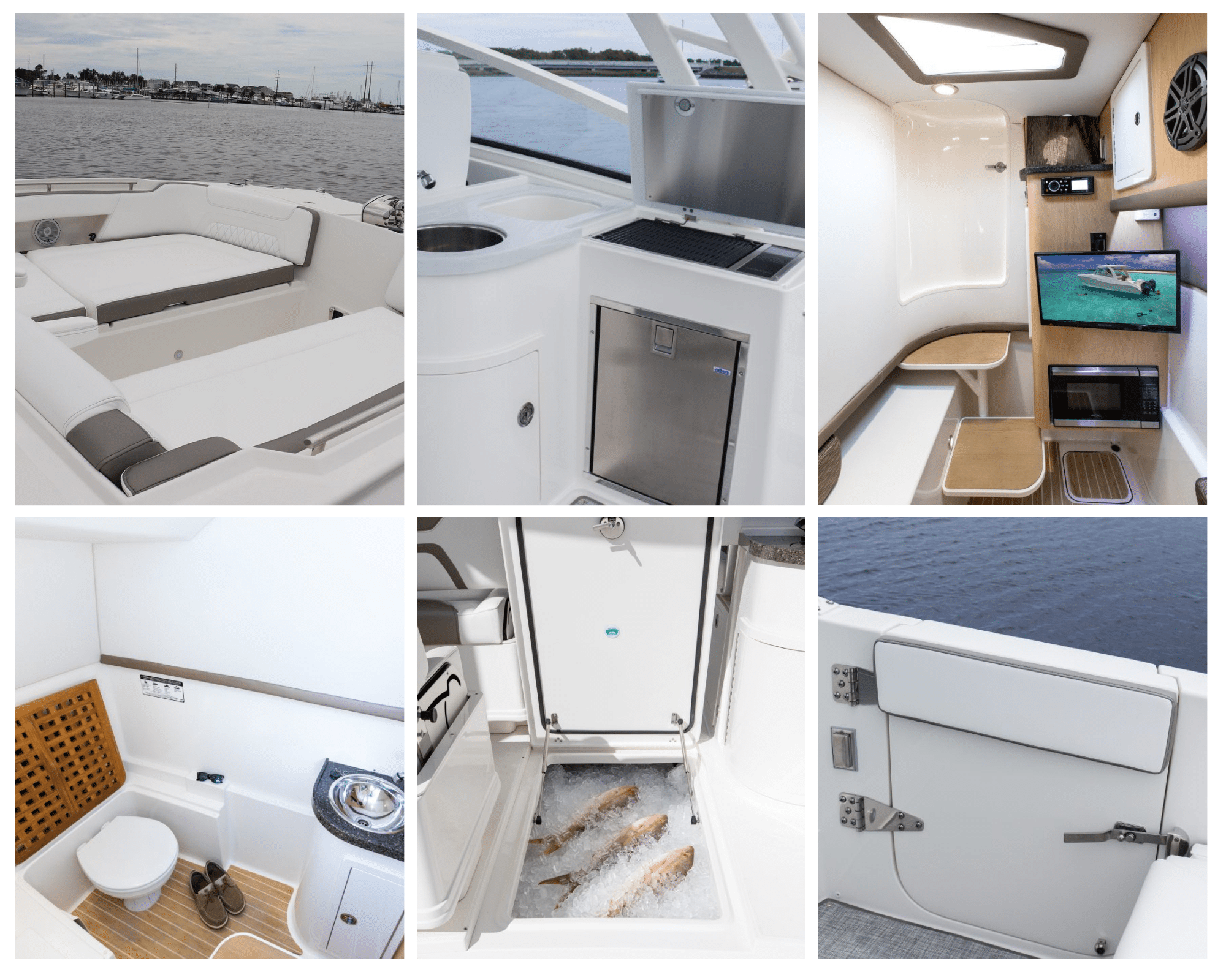 What Makes The World Cat 325DC Dual Console The Most Versatile 30 ...