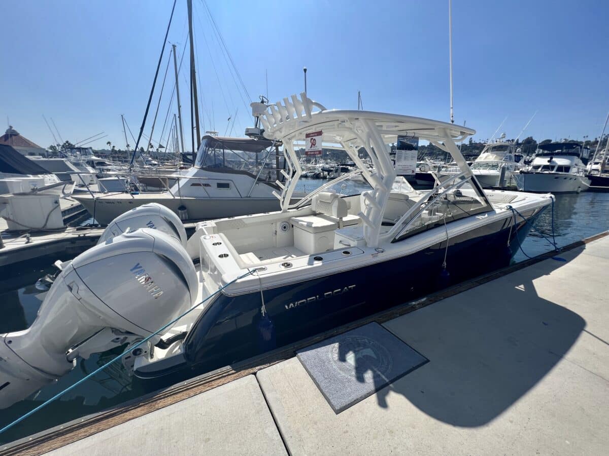 Exploring the Versatility of the World Cat Boat 280DC-X: Fishing ...