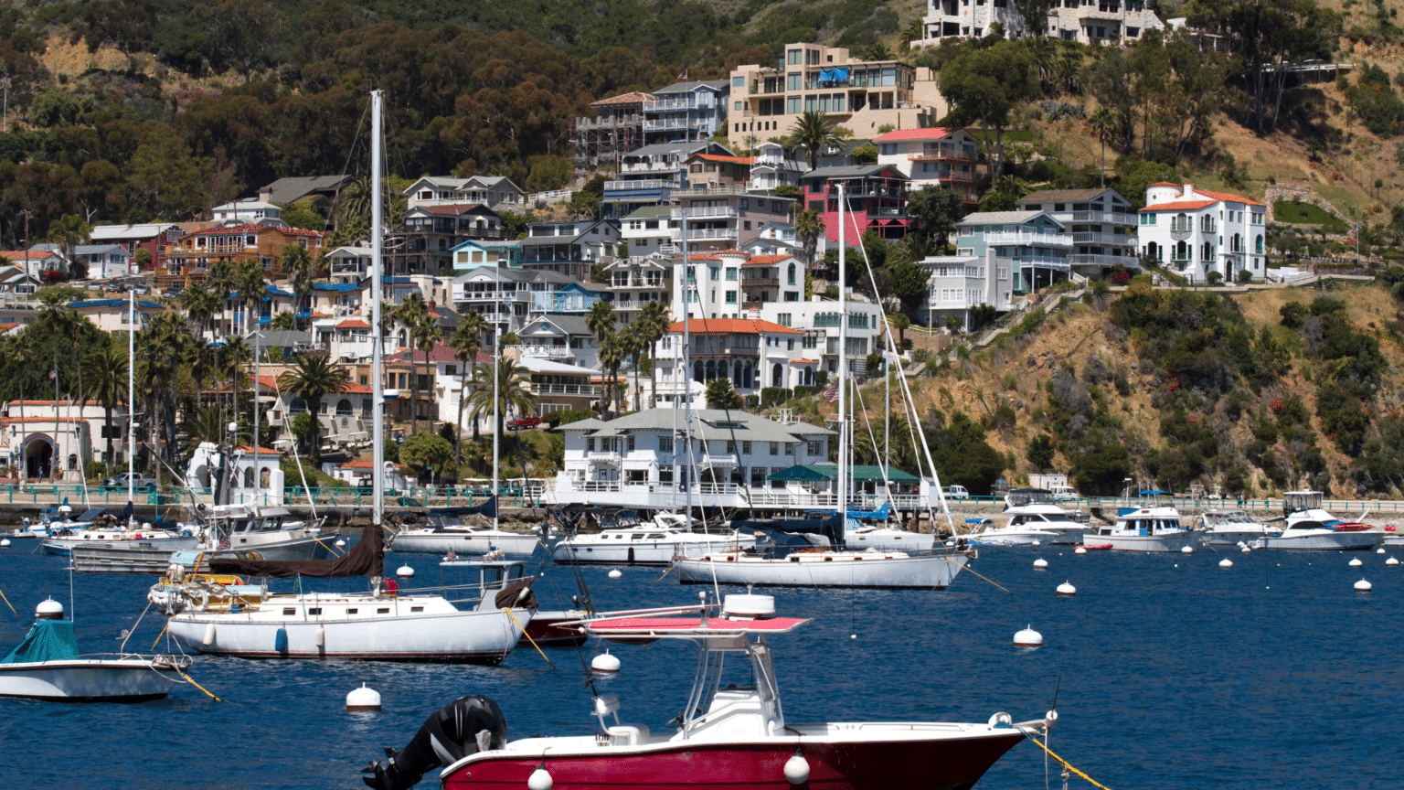 Why Fall is the Best Time to Visit Catalina Island | 50 North Yachts