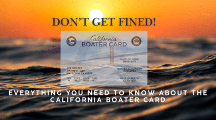 Don’t Get Fined! Everything You Need to Know About the California ...