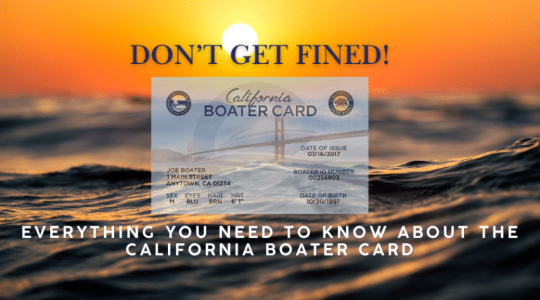Don’t Get Fined! Everything You Need to Know About the California ...
